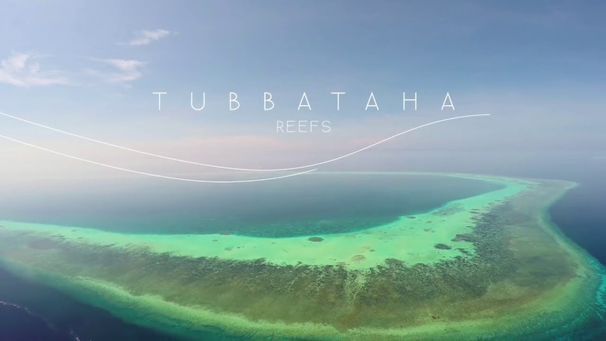 Protecting Wonders of Tubbataha Reefs through RA 10067 – Philippine ...
